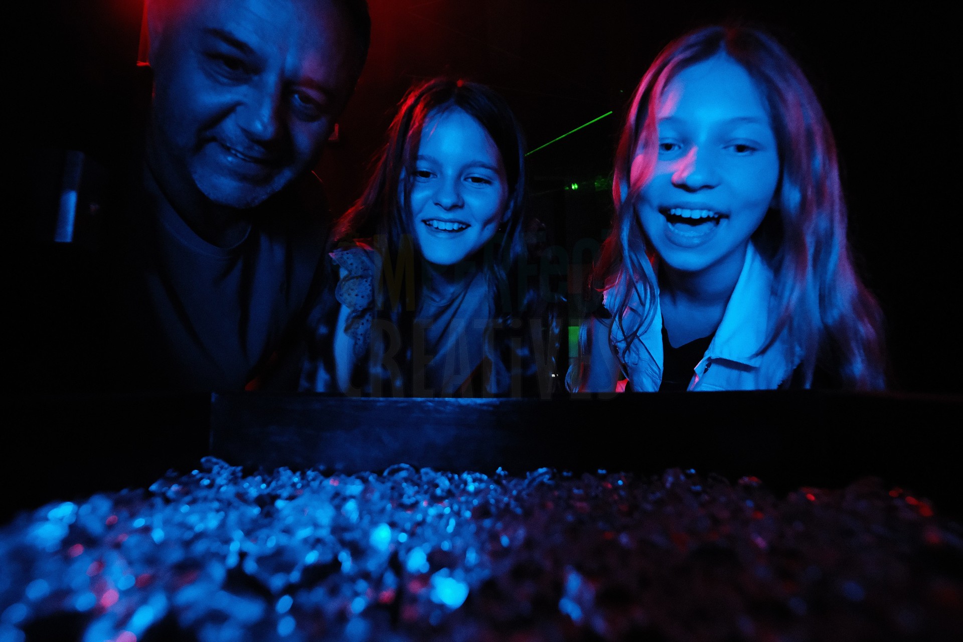 Leader Board - Mastermind Heist | Fox in a Box - The best escape…